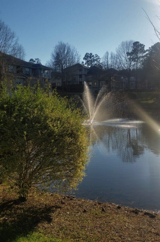 Run and Hike the Lake Pine Trail at Apex Community Park