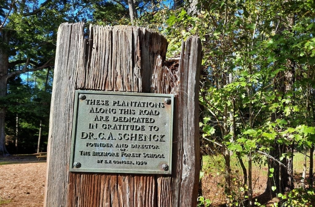 Hike to the Zombie Tunnels! - Schenk Forest's Richland Creek Trail