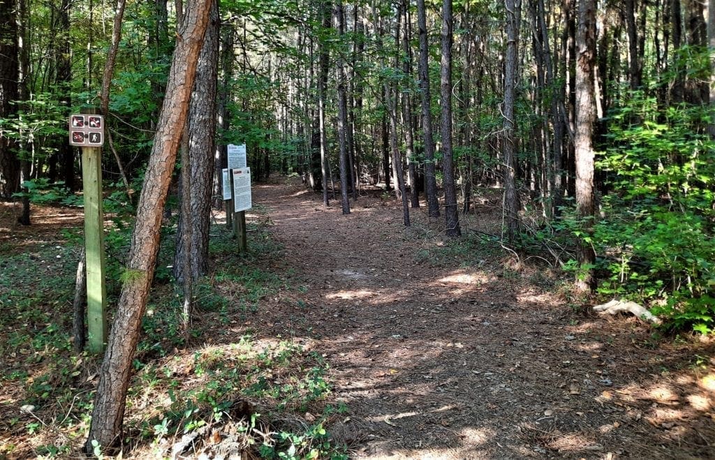 Hike to the Zombie Tunnels! - Schenk Forest's Richland Creek Trail