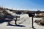 Myrtle Beach - 5 Days of Walks and Outdoor Fun!