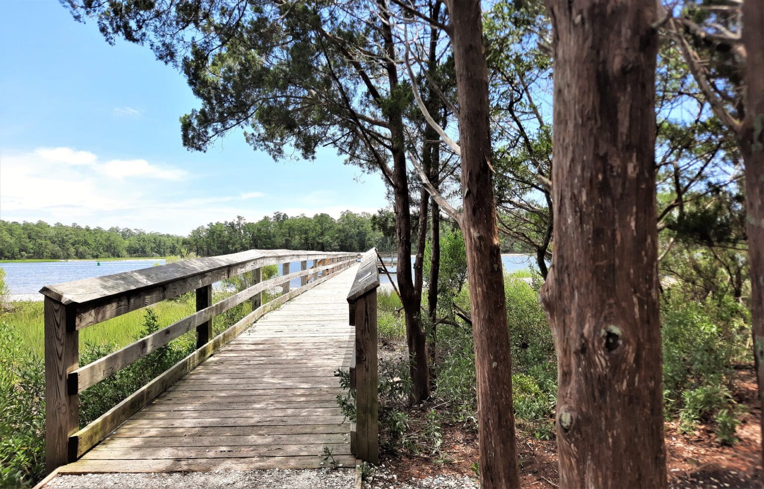 Hike the Great Channels on Brumley Mountain