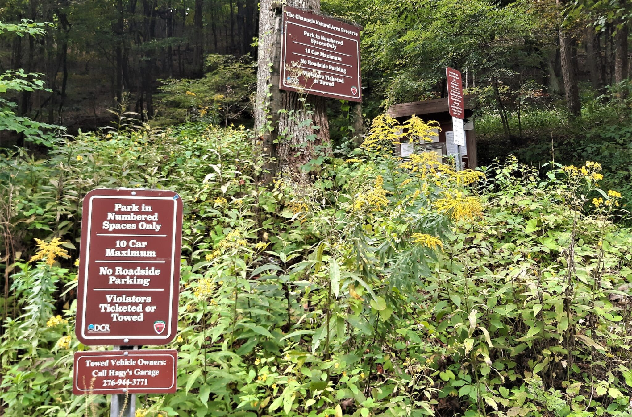Hike the Great Channels on Brumley Mountain