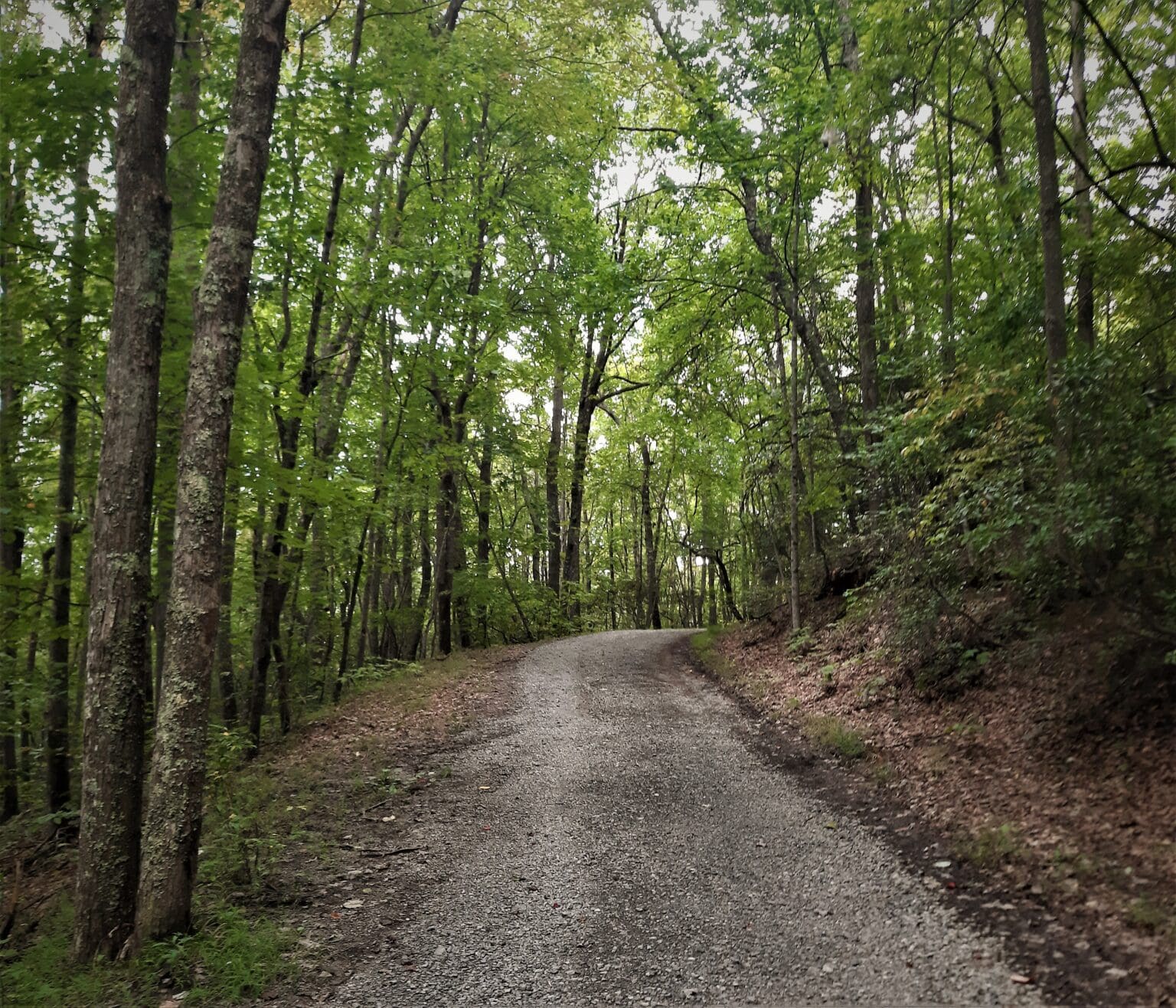 Hike the Great Channels on Brumley Mountain